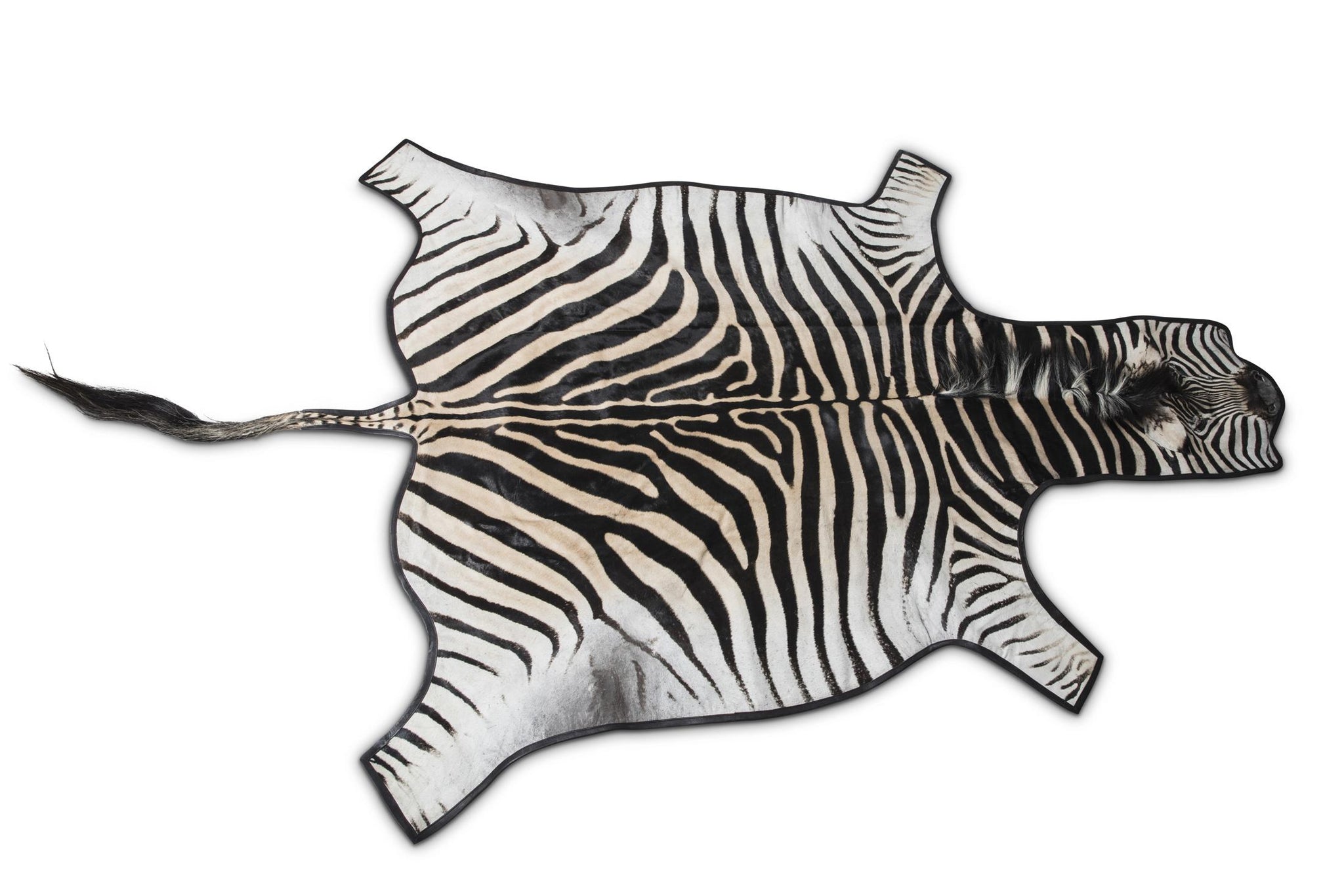 Genuine Leather Trimmed Zebra Hide Rug | NGALA Trading