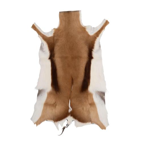 Genuine Springbok Hide Rug | NGALA Trading