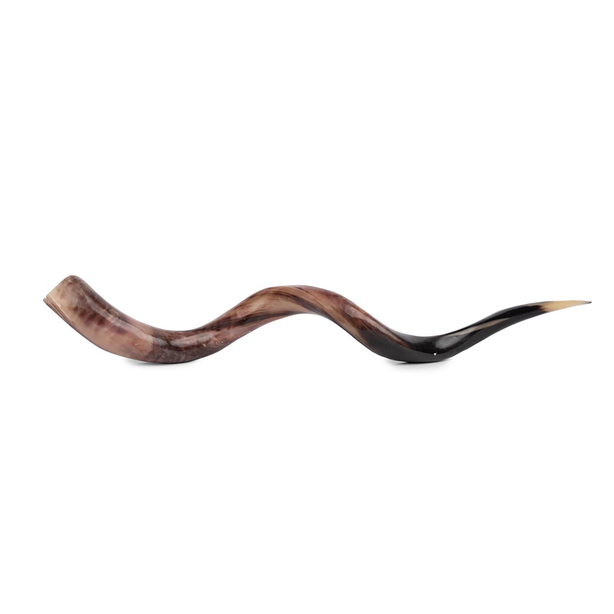 Genuine Polished African Kudu Horn | NGALA Trading